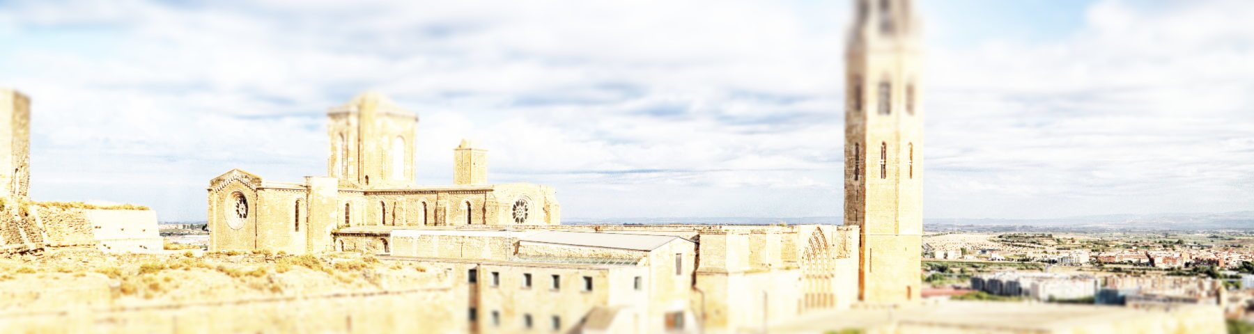 La Seu Vella - ArteViajero